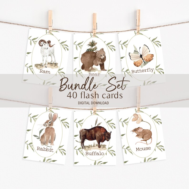 Nature Flash Card BUNDLE SET Printables Animal Flash Card Set - Etsy