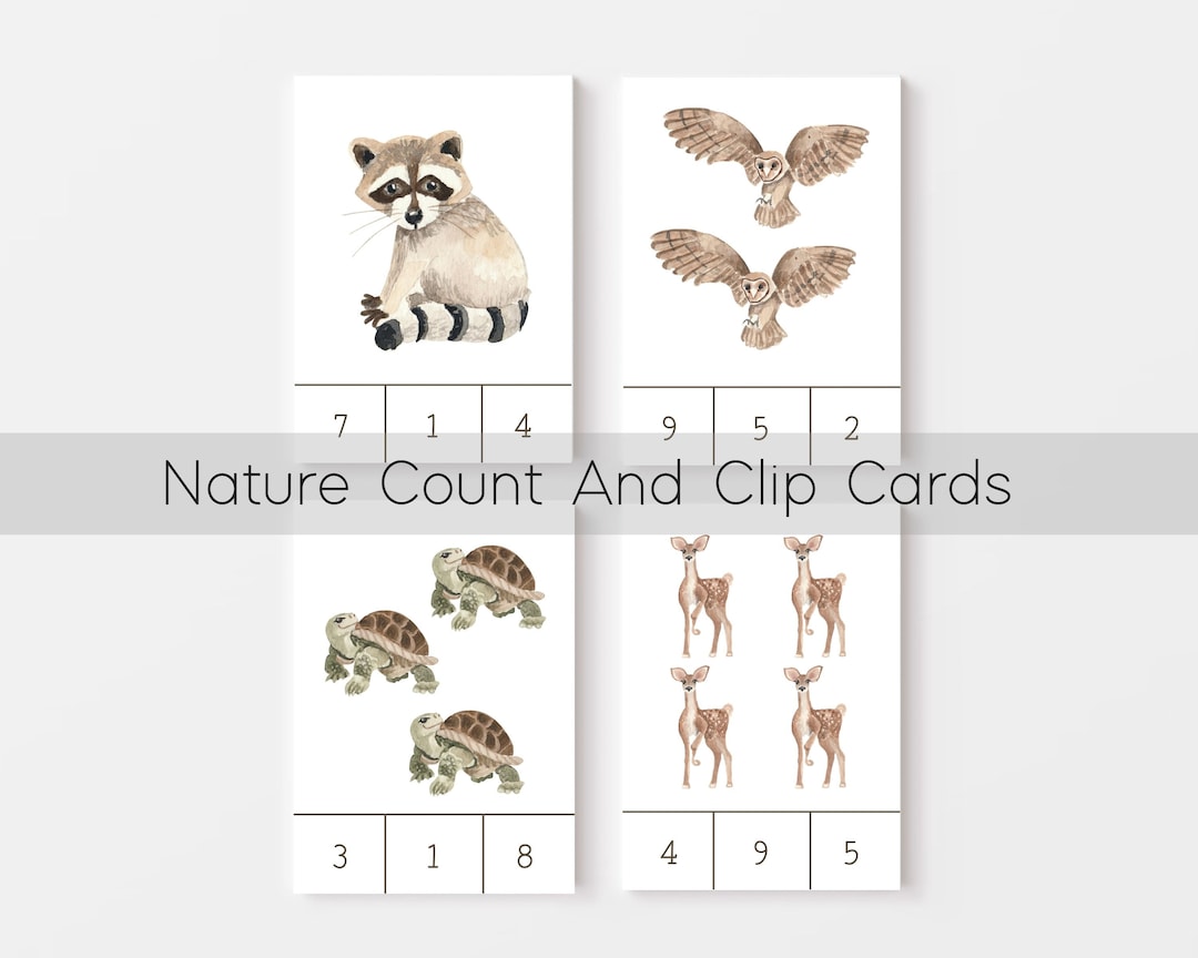 Nature Count and Clip Card 1-20 Printable's, Clothespin Number Cards ...