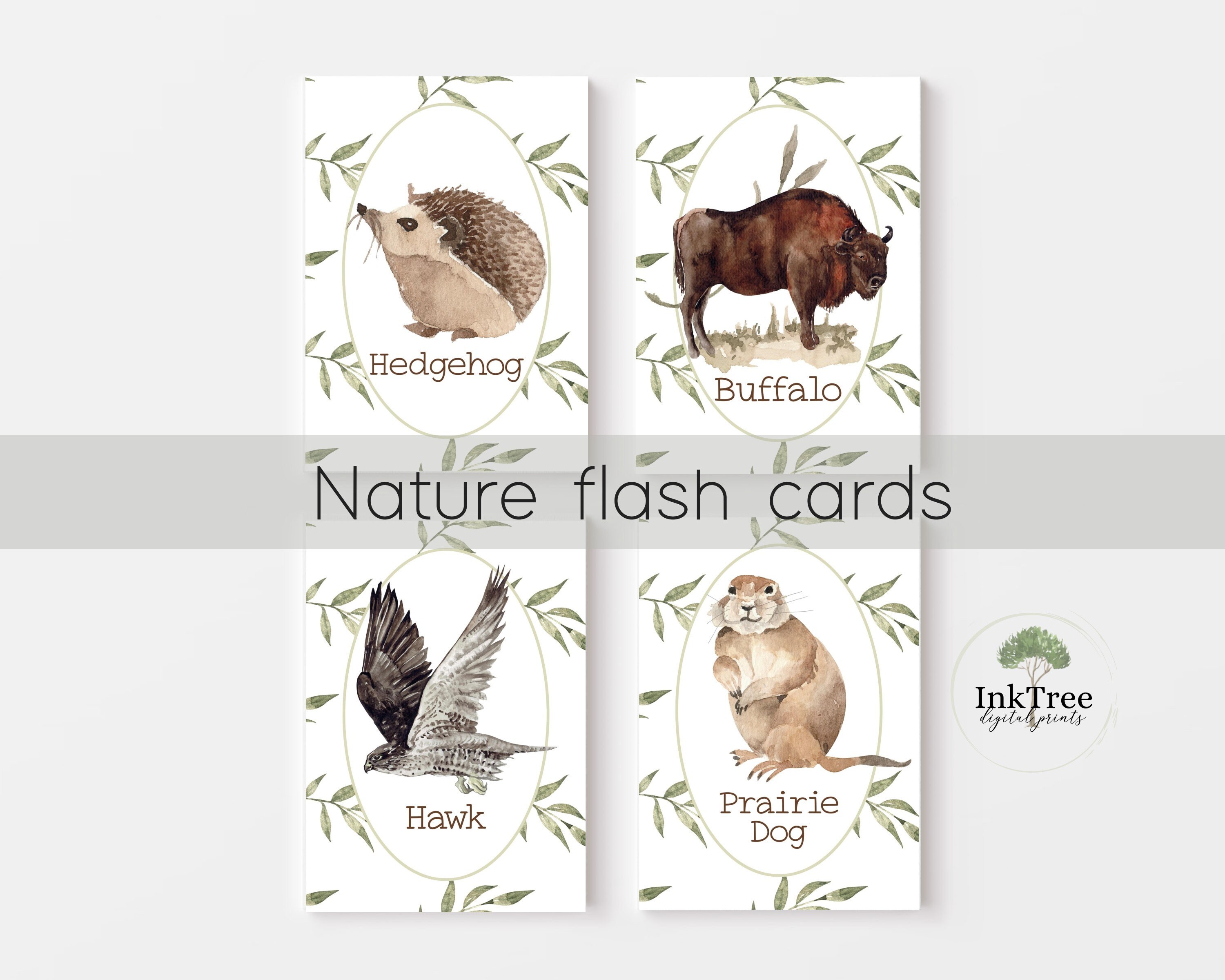 Nature Flashcard Printables, Animal Flashcard Printables, Educational ...