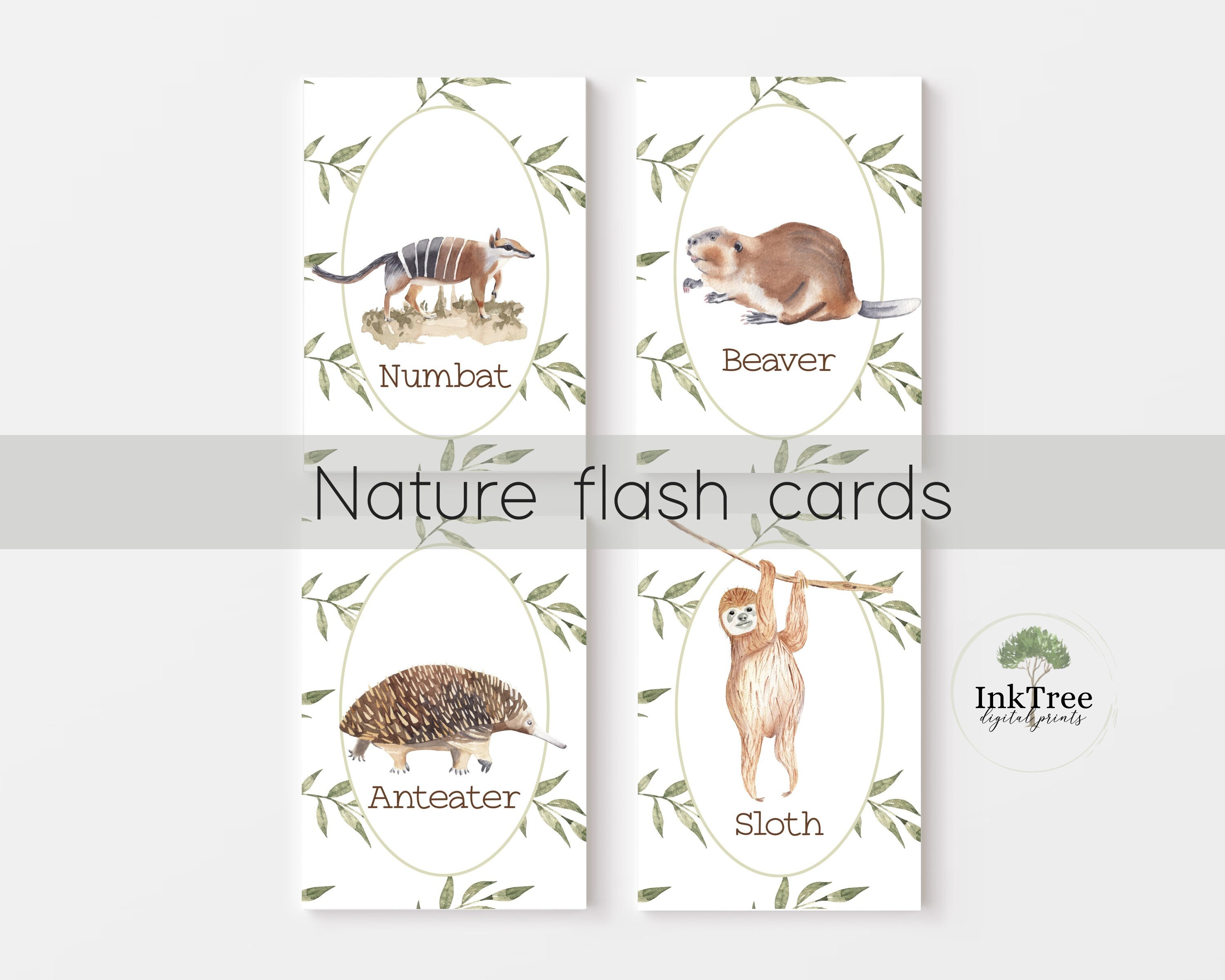 Nature Flashcard Printables, Animal Flash Card Printables, Educational ...