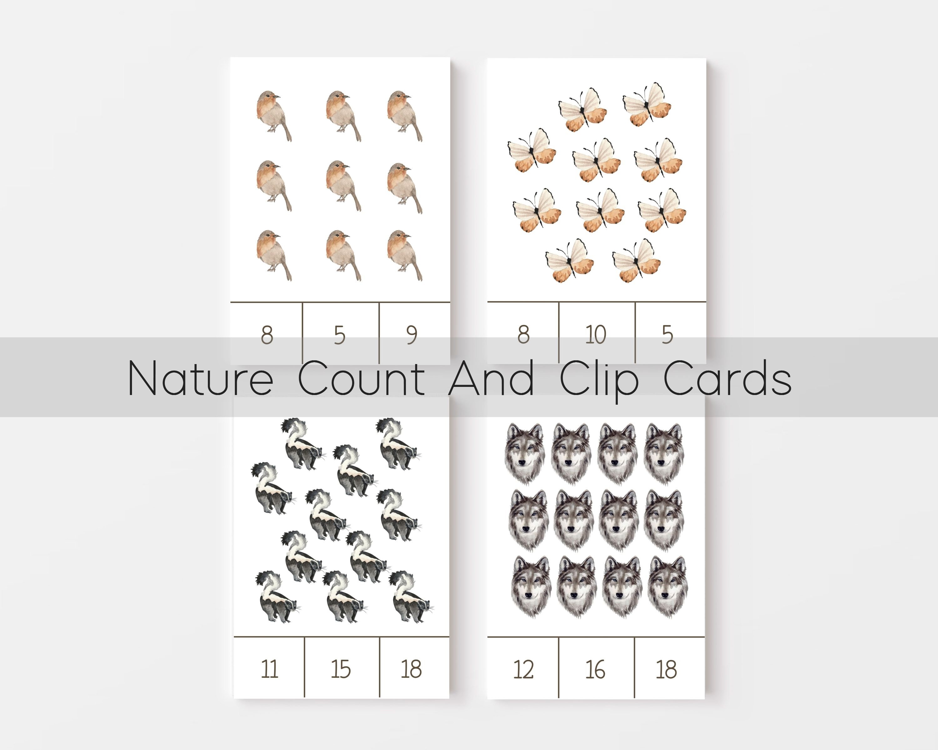 Nature Count and Clip Card 1-20 Printable's, Clothespin Number Cards ...