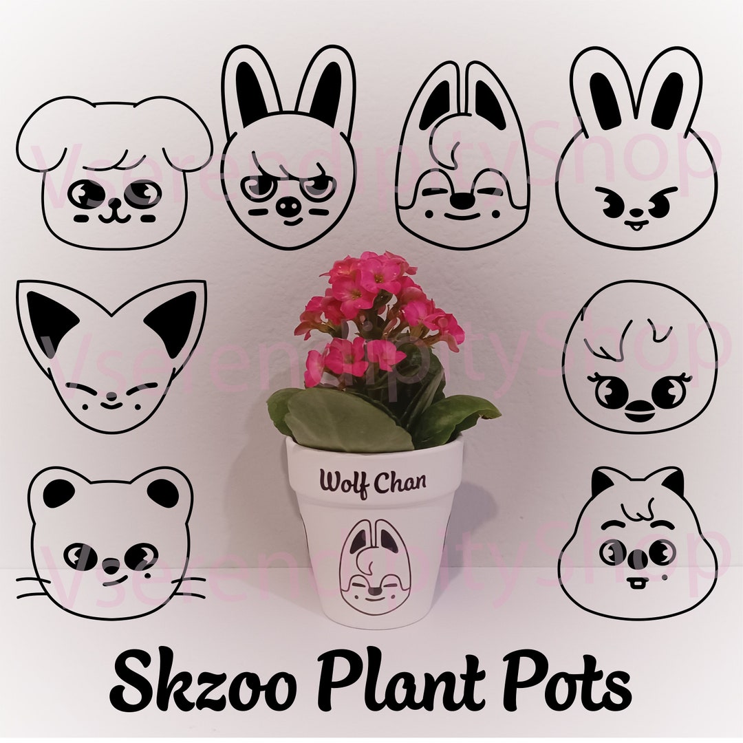 Stray Kids Plant Pot Kpop Stray Kids Gifts Mini Plant Pot Succulent Pot ...