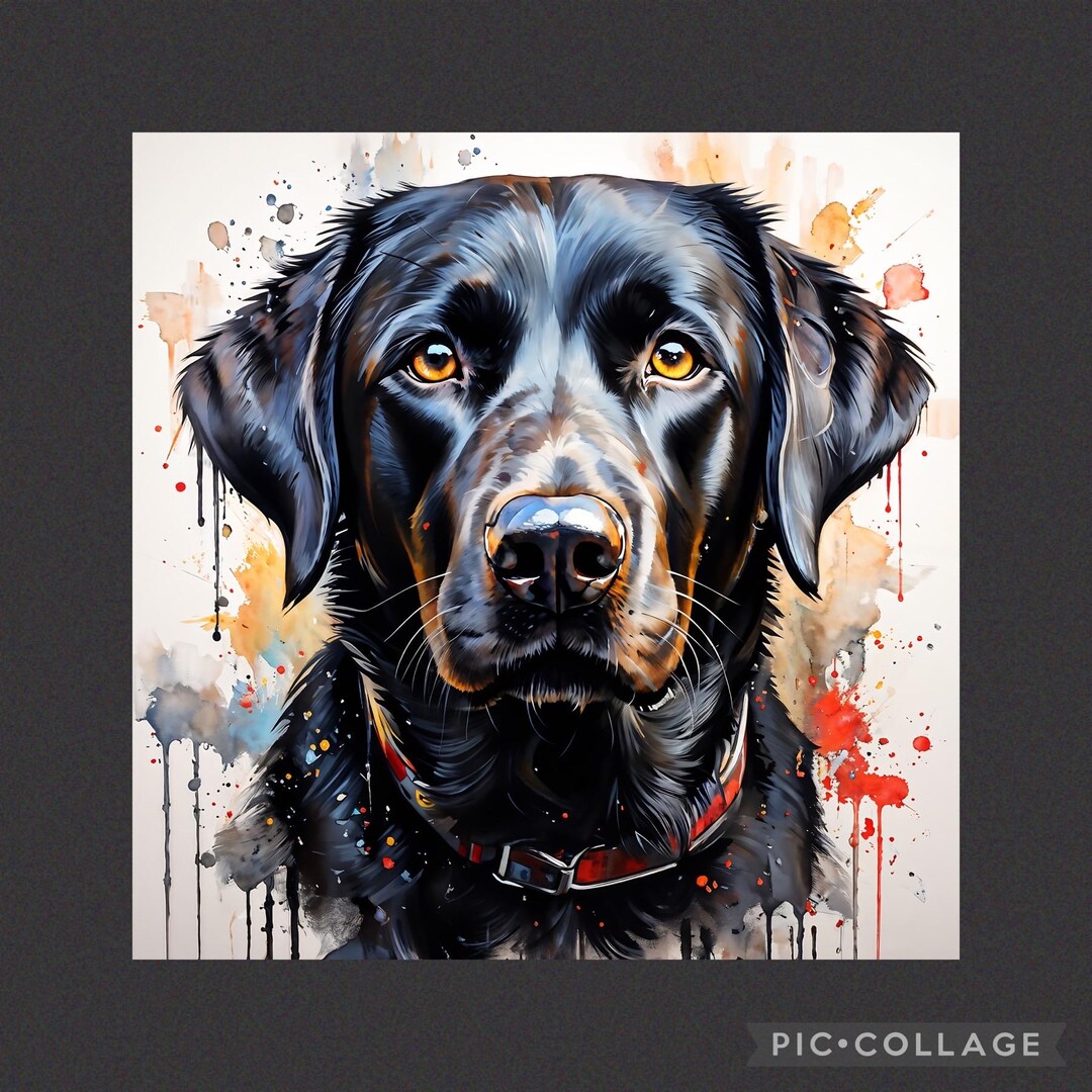 Black Lab/ Black Labrador Dog Greeting Card With Envelope Blank Inside ...