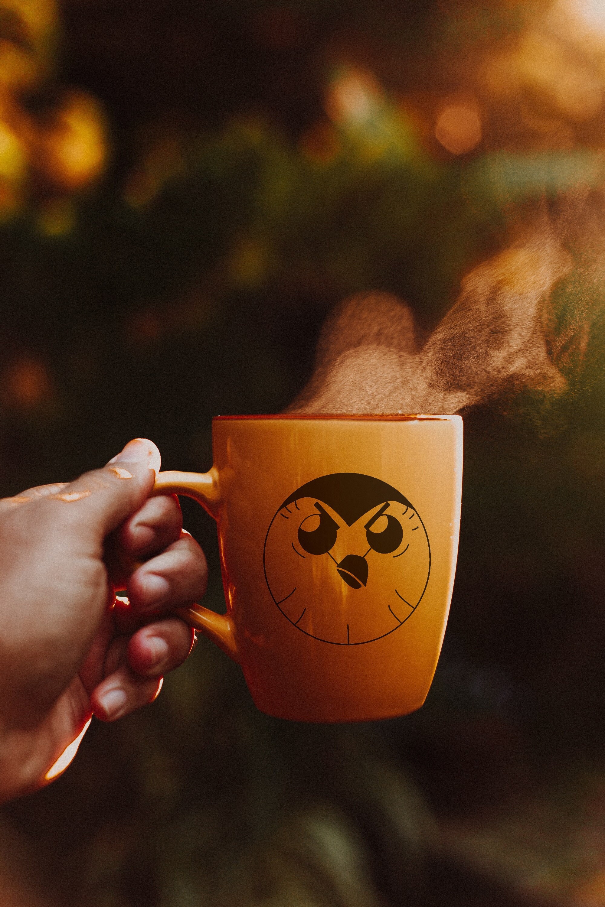 Owl House Vector Hooty Expressions Svg Jpg Png - Etsy Australia