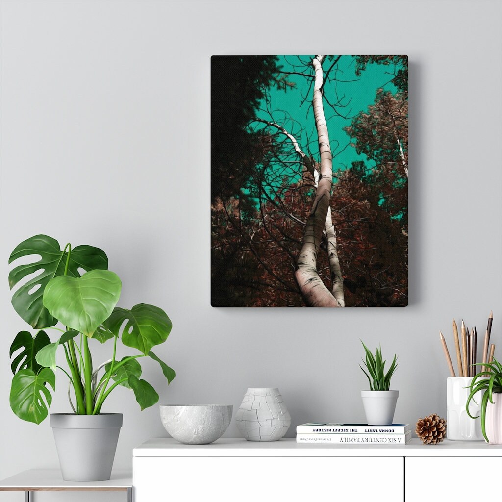 Aspen Tree Wall Art, Aspen Tree Canvas, Aspen Forest Wall Art, Aspen ...