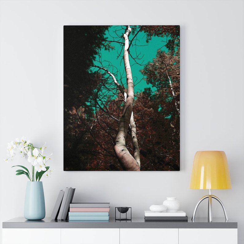 Aspen Tree Wall Art, Aspen Tree Canvas, Aspen Forest Wall Art, Aspen ...