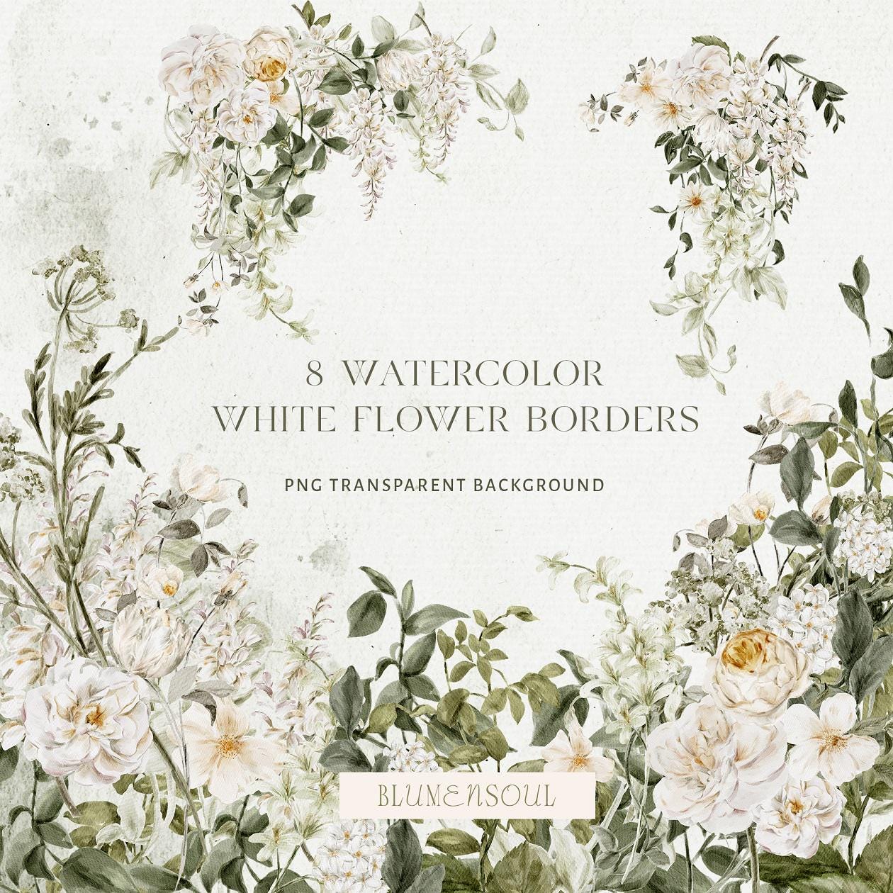 Watercolor White Flowers, Borders, Wedding Invitation, Rose, Peony ...