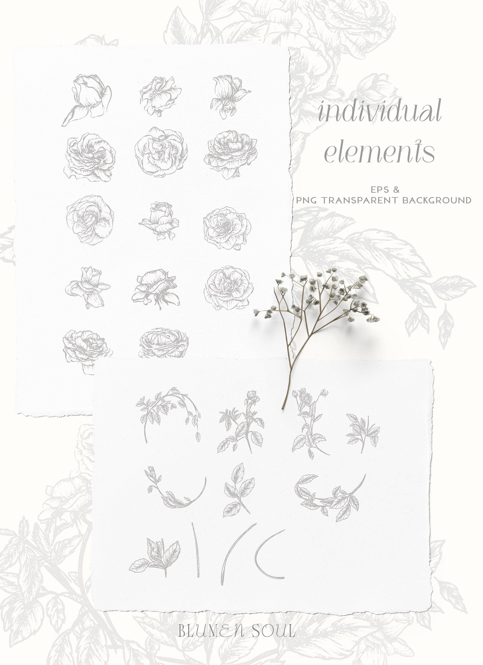 Vintage Rose Flowers, Floral Clipart, Line Art Flowers, Botanical ...