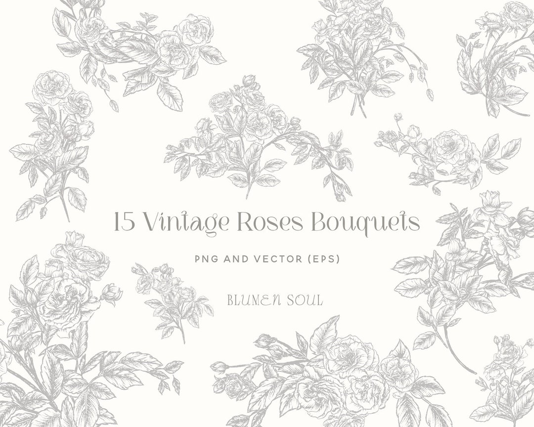 Vintage Rose Flowers, Bouquet Floral Clipart, Line Art, Botanical ...