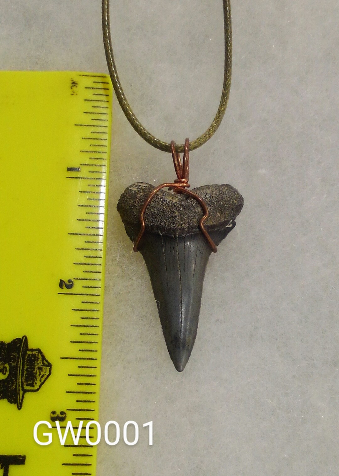 1 7/8" Lesser Great White Shark Tooth AKA " MAKO - Etsy
