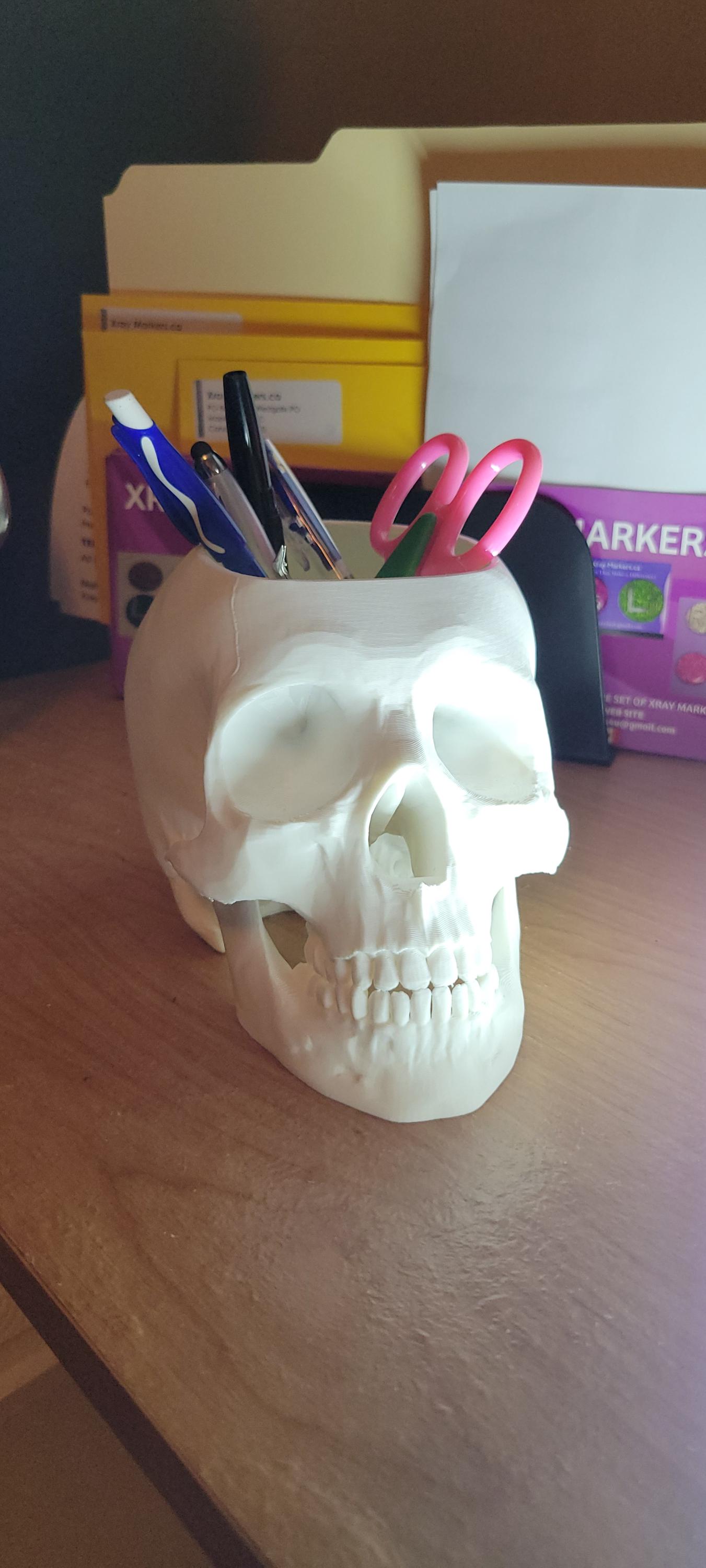 Lumbar Spine Pen Holder - Etsy