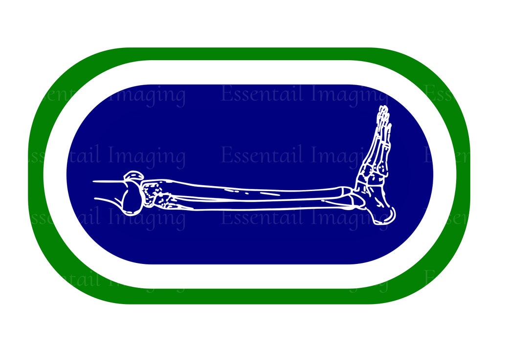 X Ray Tech Svg, Instant Download, Sublimation, MRT Svg,medical ...