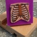 Human Anatomy Rubber Stamps, Custom Rubber Stamps, Anatomy Body Part ...