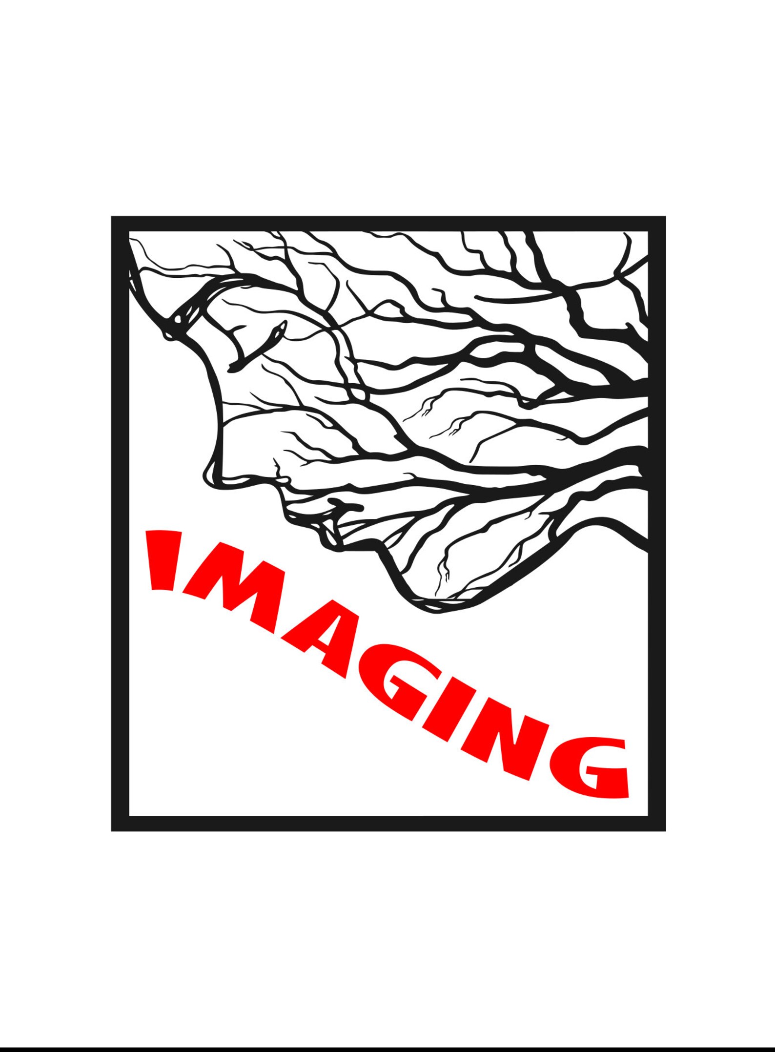 X Ray Tech Svg, Instant Download, Sublimation, MRT Svg,skull SVG ...