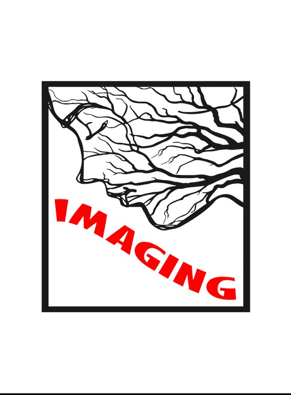 X Ray Tech Svg Instant Download Sublimation MRT Svgskull | Etsy