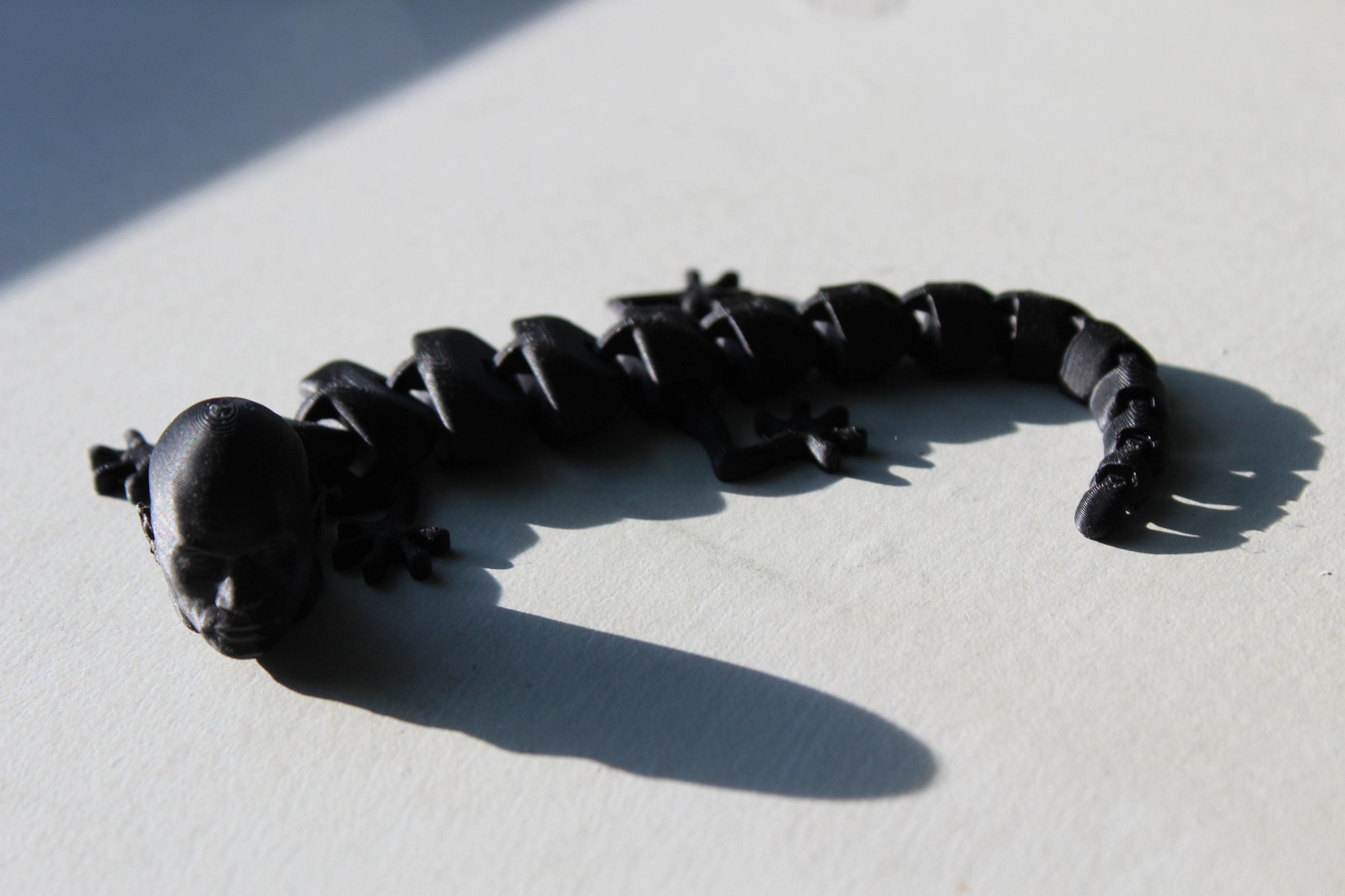 Dwayne Johnson Lizard dwayne the Rock Johnson Meets a Lizard 3D Printed ...