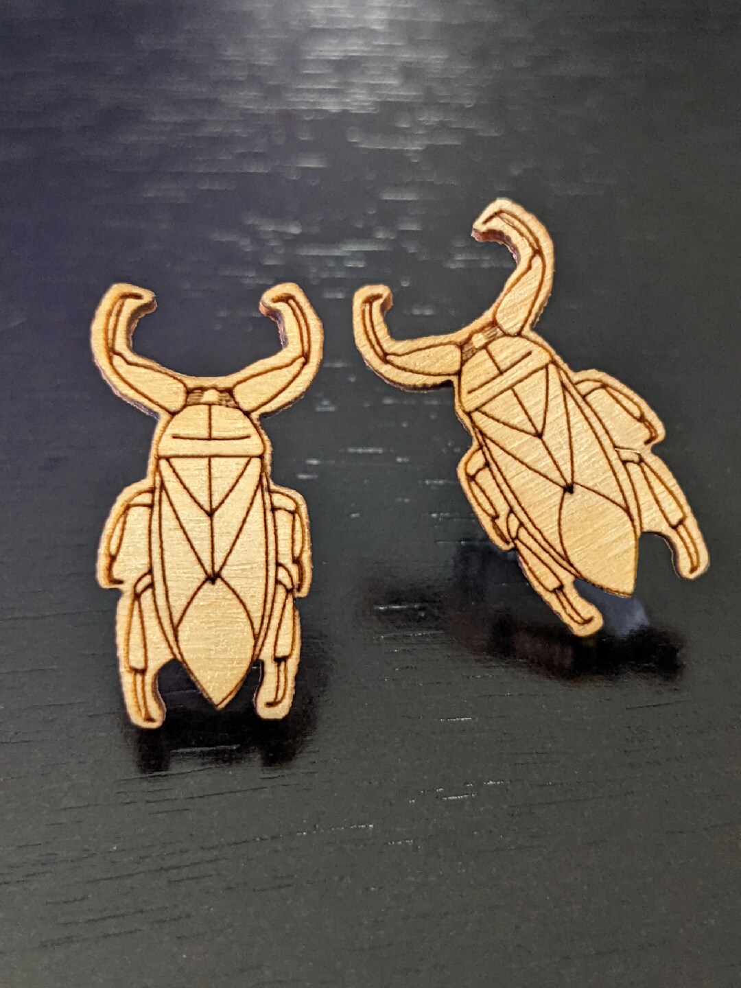 Giant Water Bug Toe Biter Stainless Steel Hypoallergenic Earrings - Etsy