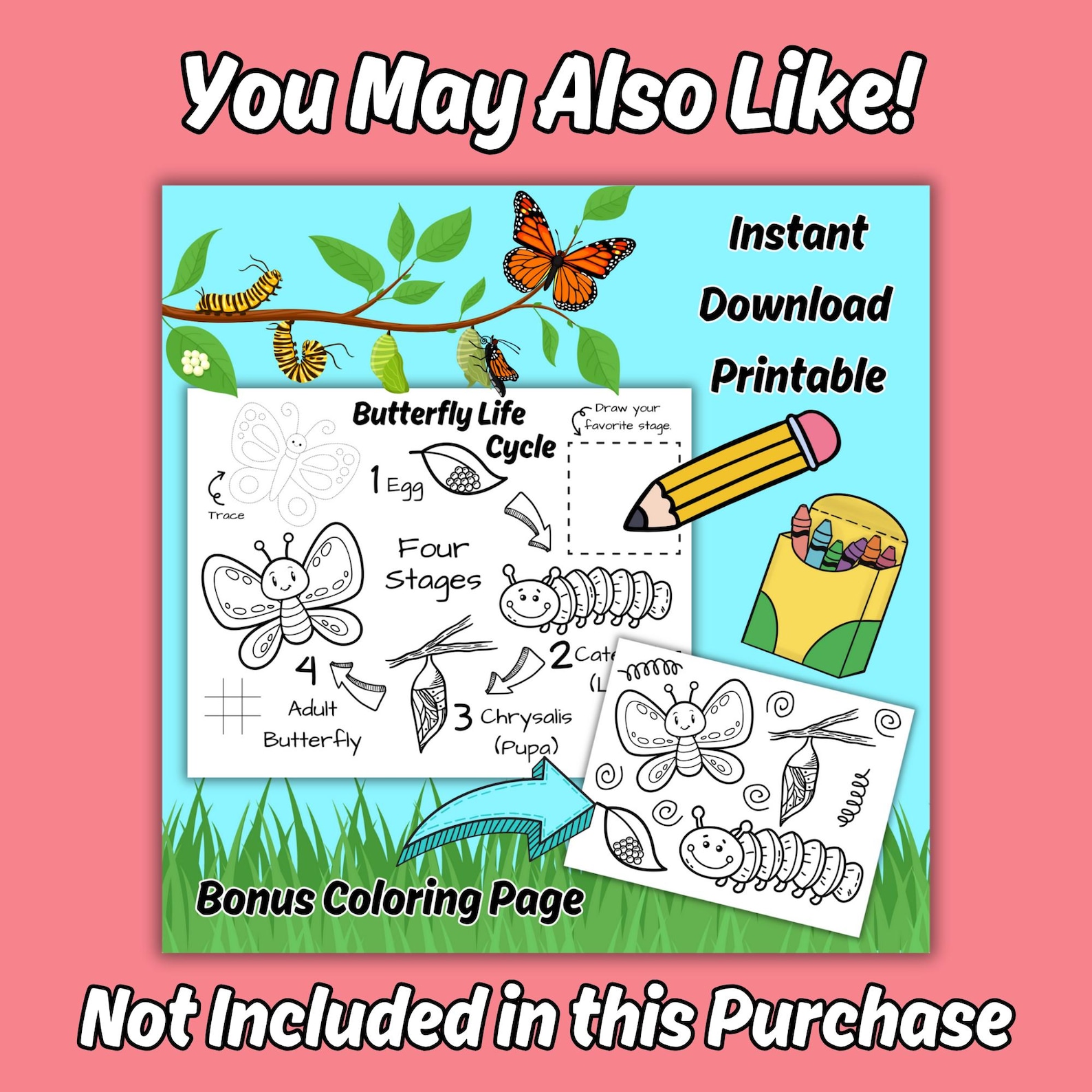 Design Your Own Butterfly Coloring Activity Page for Kids, Decorate A ...