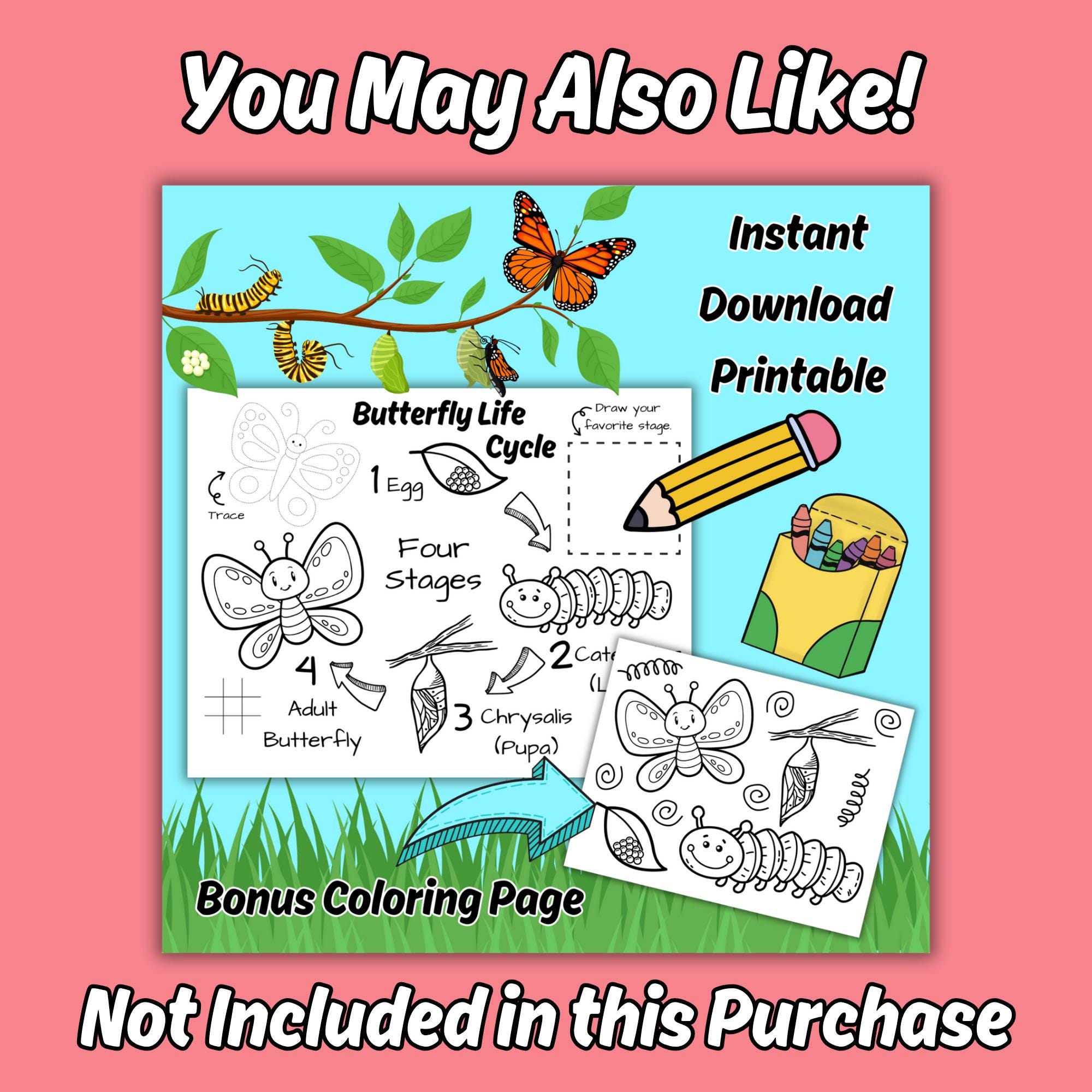 Design Your Own Butterfly Coloring Activity Page for Kids, Decorate A ...