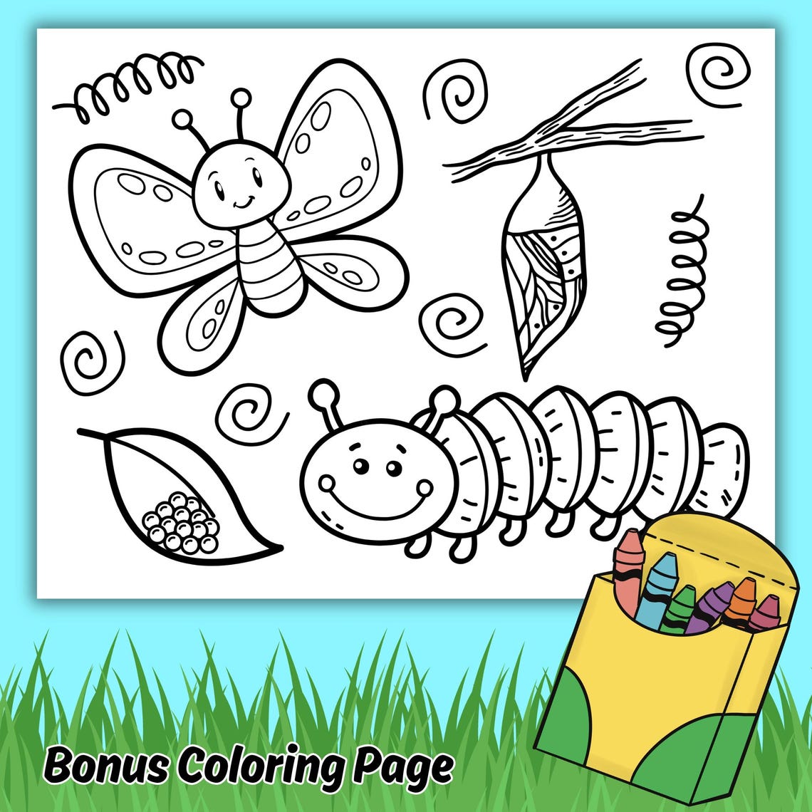 Butterfly Life Cycle Printable Activity Worksheet for Kids, the Life ...