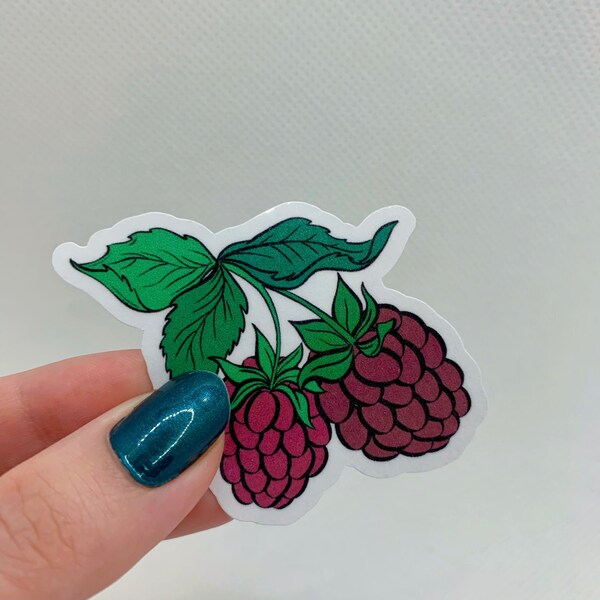 Raspberry - Etsy