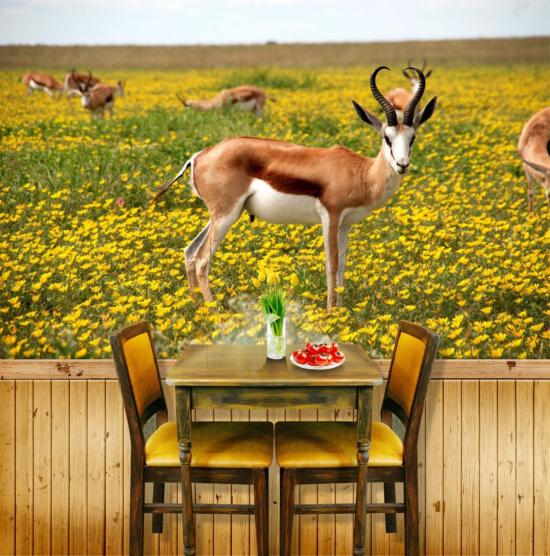 3D Yellow Flowers Cute Springboks FFA5632 Animal Removable Wallpaper ...