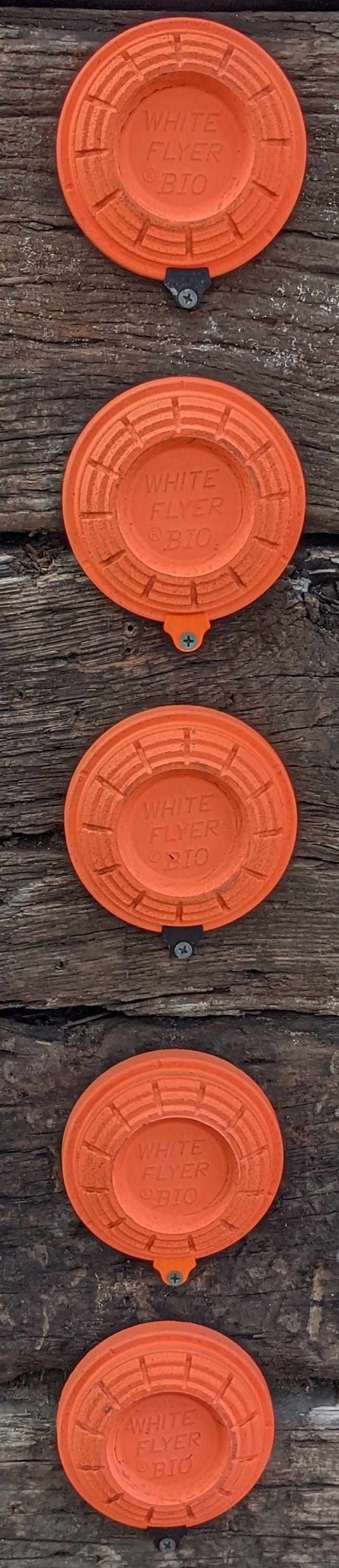 Yard Pigeon - Clay Pigeon Holder - Etsy