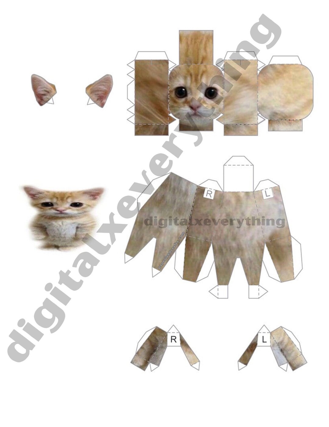 Munchkin kitty papercraft gato papercraft bricolaje - Etsy México