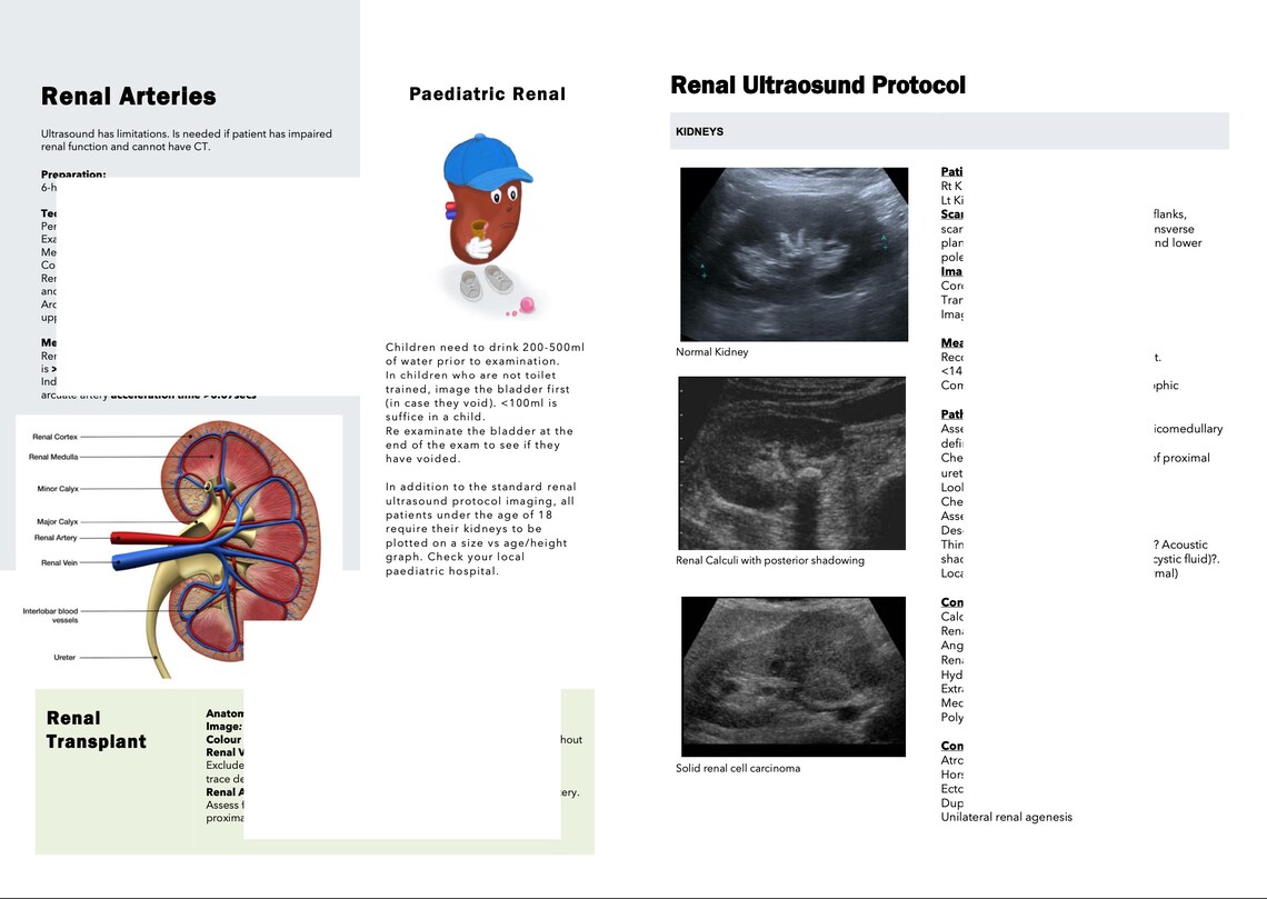 Renal Ultrasound Protocol and Scanning Guide - Etsy