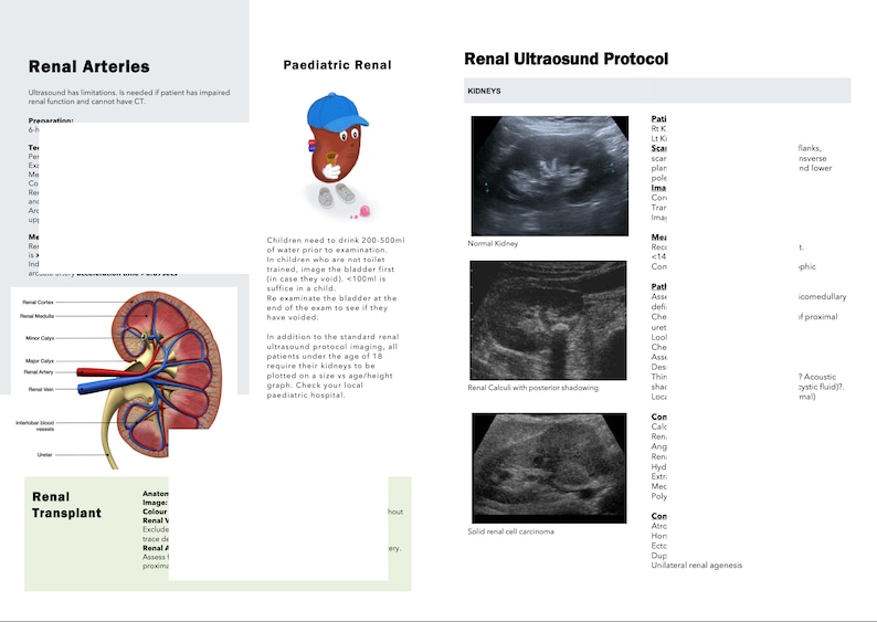 Renal Ultrasound Protocol and Scanning Guide - Etsy