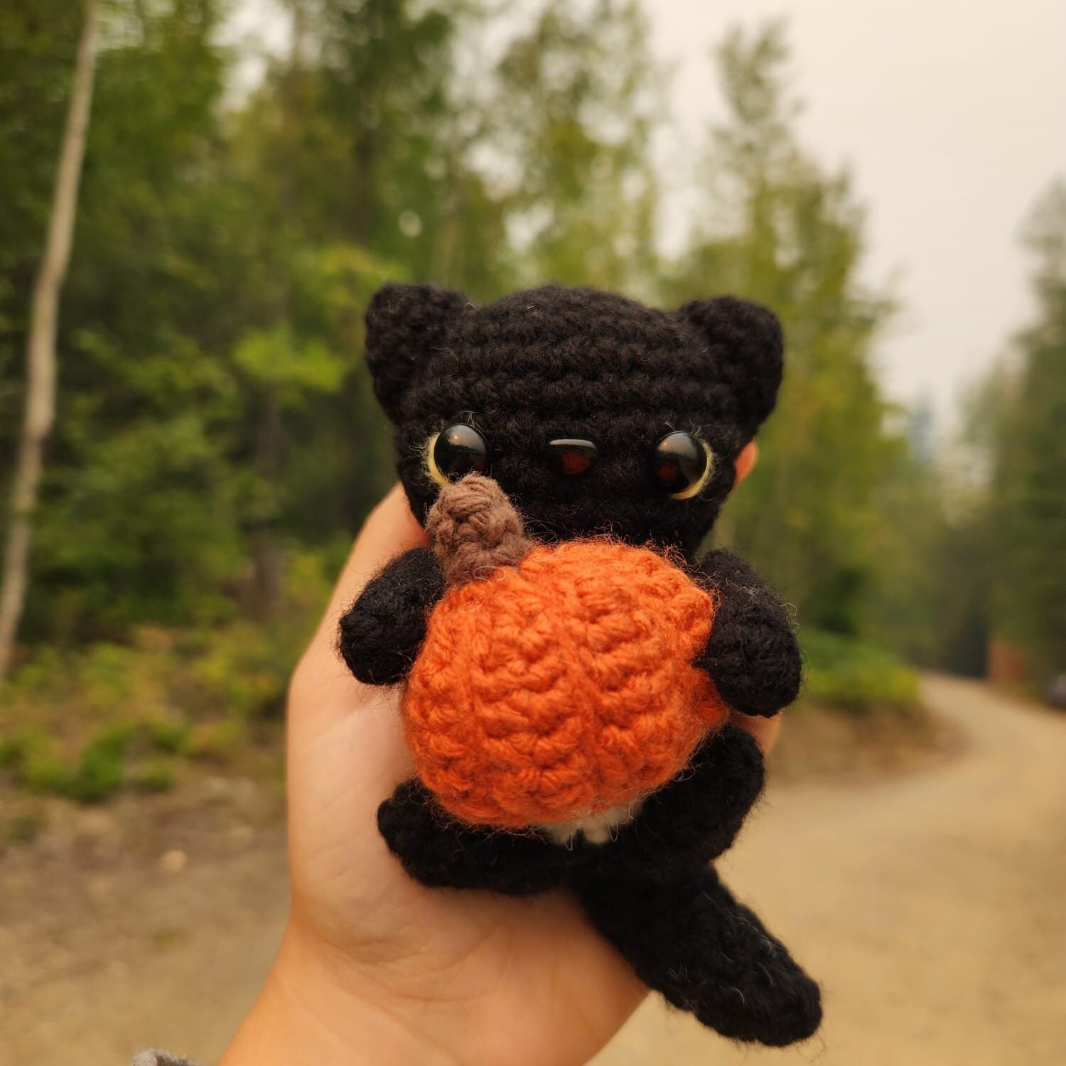 Black Cat Crochet Pattern, Digital Download, Autumn Kitty, Crochet ...