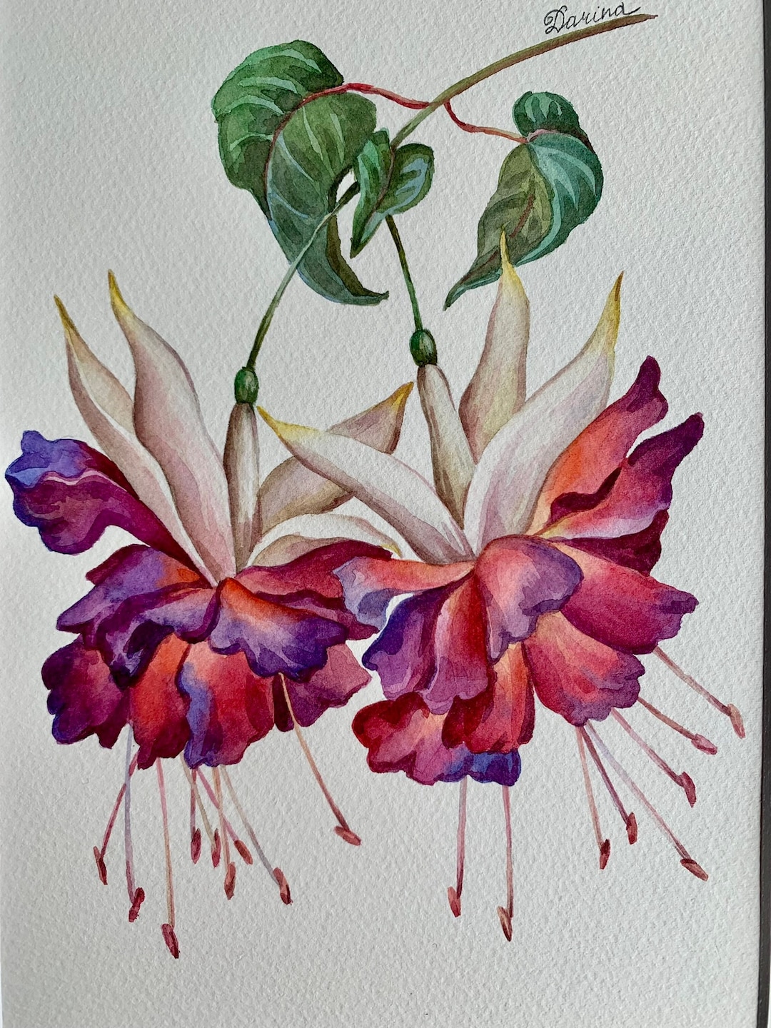 Original Watercolour Painting A5/ Fuchsia Flower/purple Flower/original ...