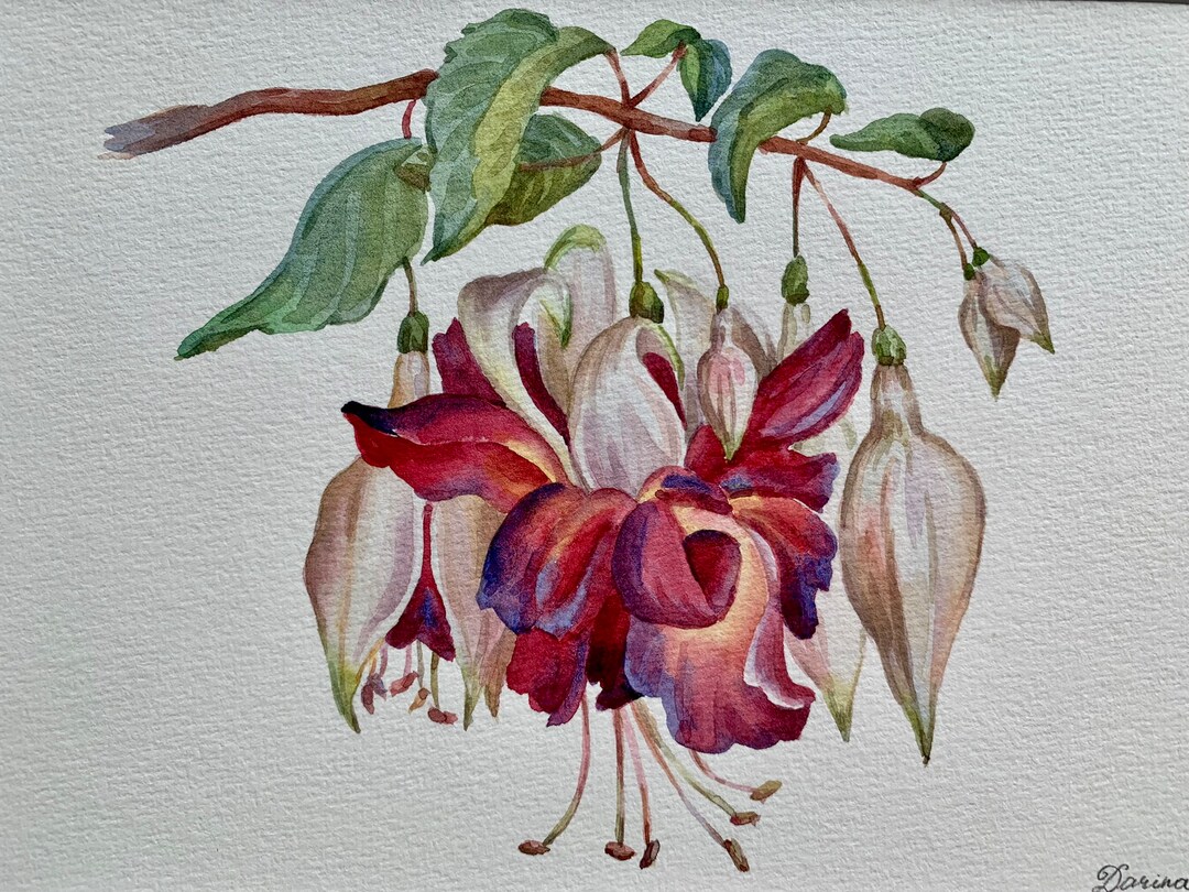 Original Watercolour Painting A5/ Fuchsia Flower/purple Flower/original ...
