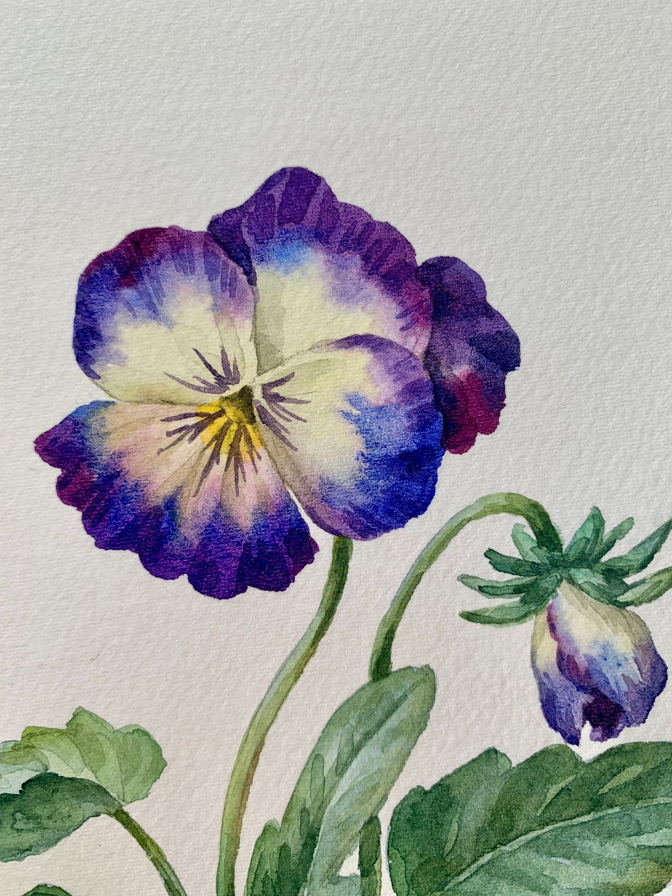 Original Watercolour Painting A5/ Violets Painting/original Artwork ...