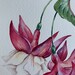 Original Watercolour Painting A5/ Fuchsia Flower/purple Flower/original ...