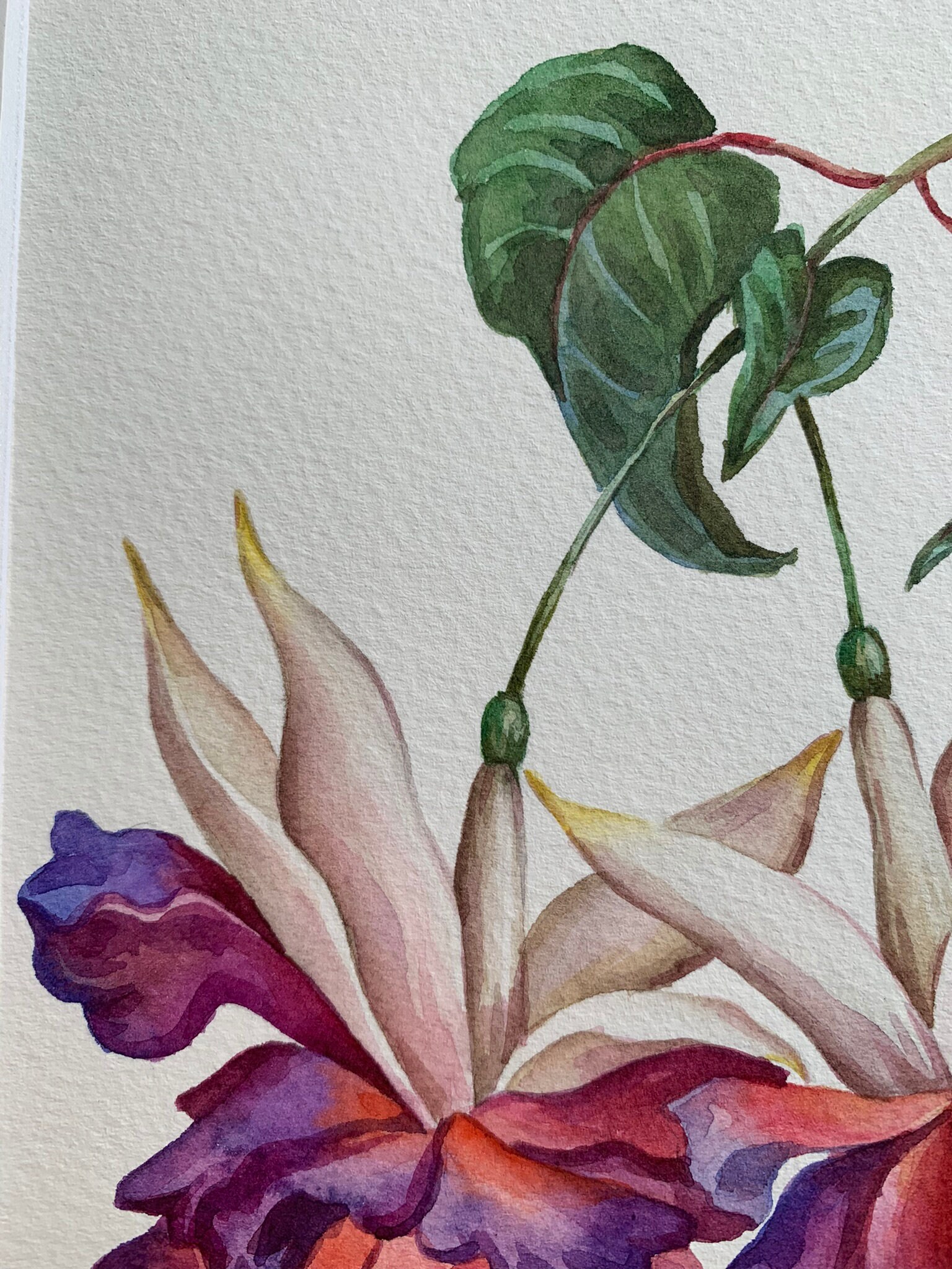 Original Watercolour Painting A5/ Fuchsia Flower/purple Flower/original ...