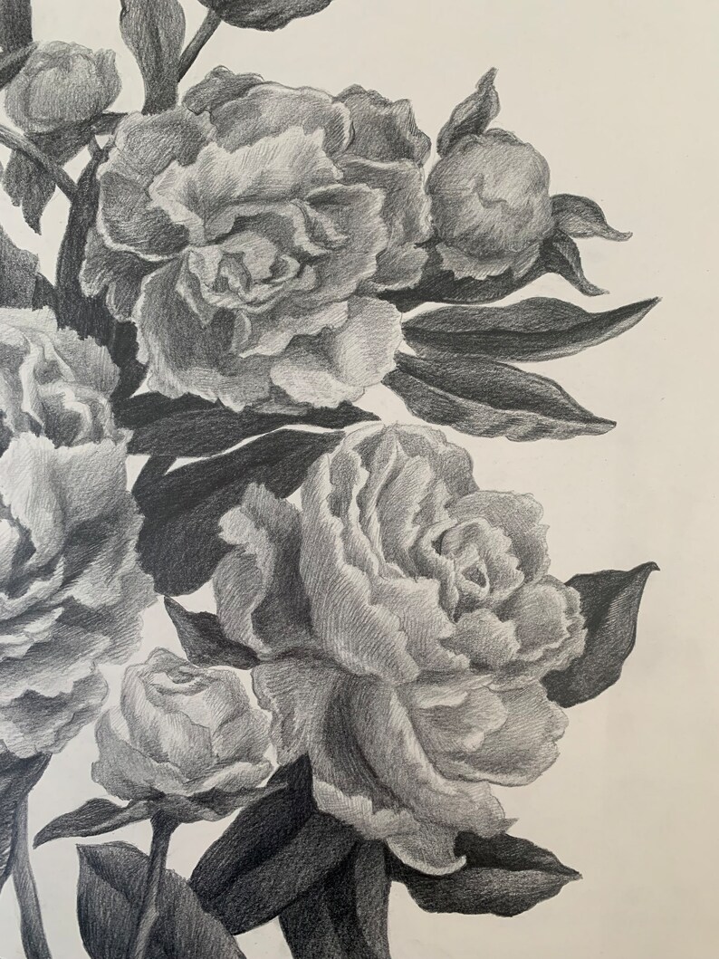 Original Pencil Drawing/ Peony Bouquet Graphic/ Peony Hand Drawing ...