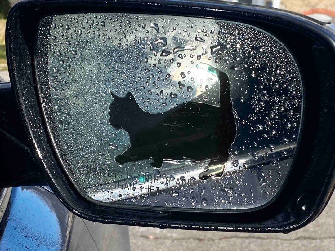 My Munchkin Cat Mirror Peeker Transparent Mirror Decal, Anti Fog Rain ...