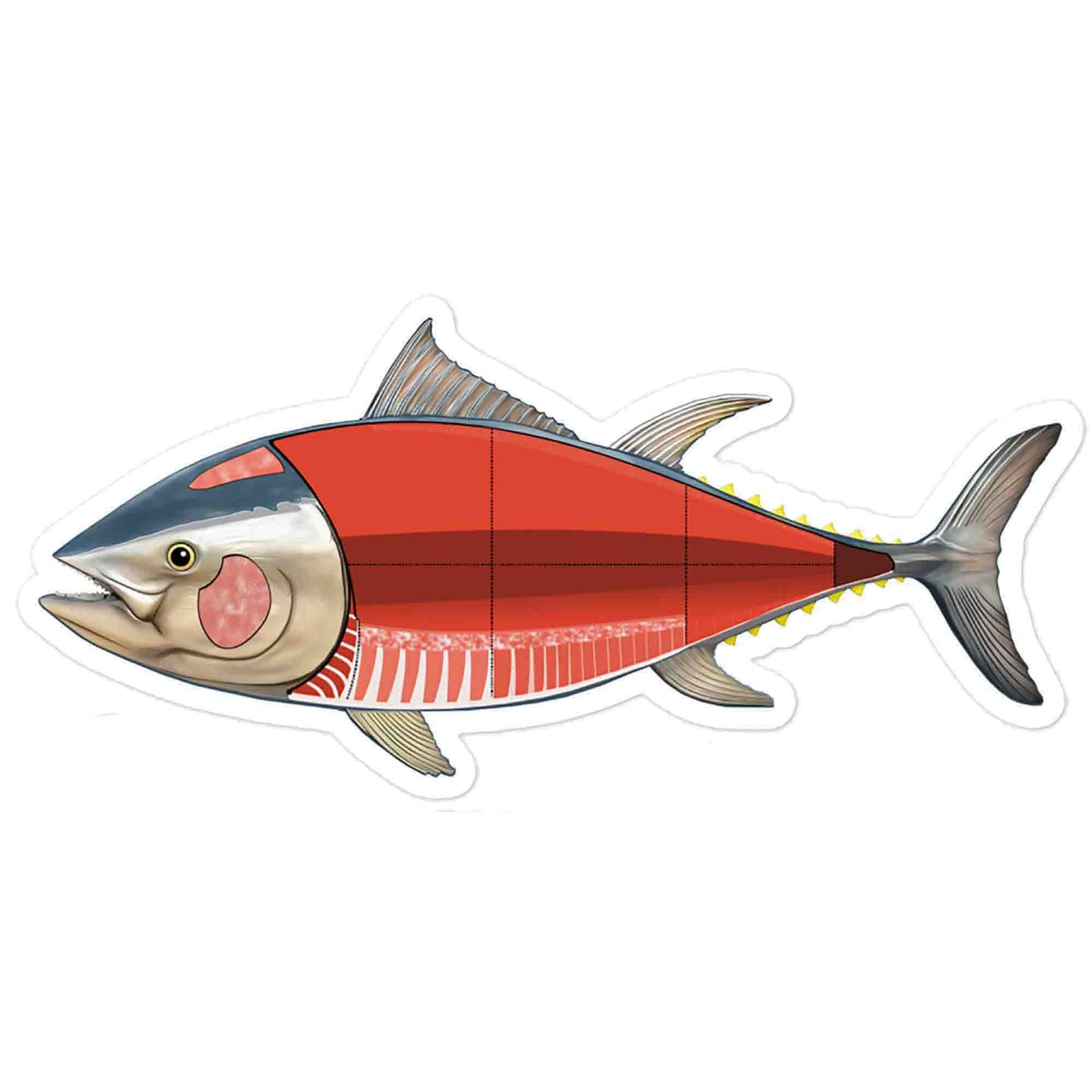 Japanese Bluefin Tuna Sticker Set 16 Tuna Sushi Inspired Stickers ...
