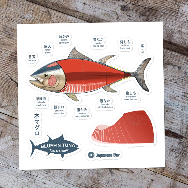 Japanese Bluefin Tuna Sticker Set 16 Tuna Sushi Inspired Stickers ...