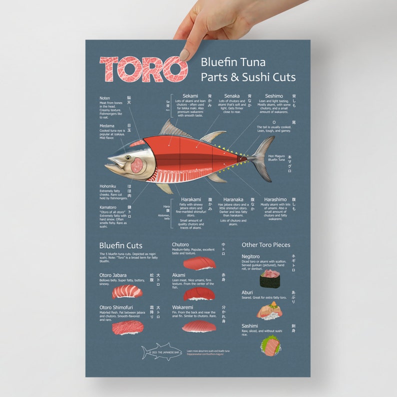 Toro Sushi Poster: 12 X 18 toro Anatomy Bluefin Tuna Cuts & Sushi Types ...