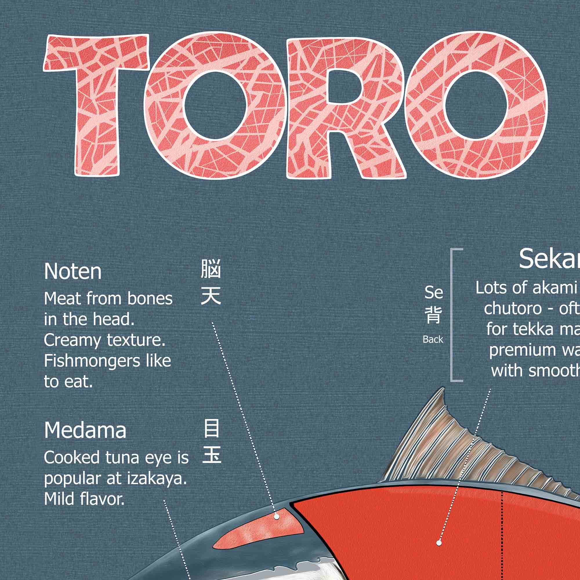 Toro Sushi Poster: 12 X 18 "toro Anatomy" Bluefin Tuna Cuts & Sushi ...