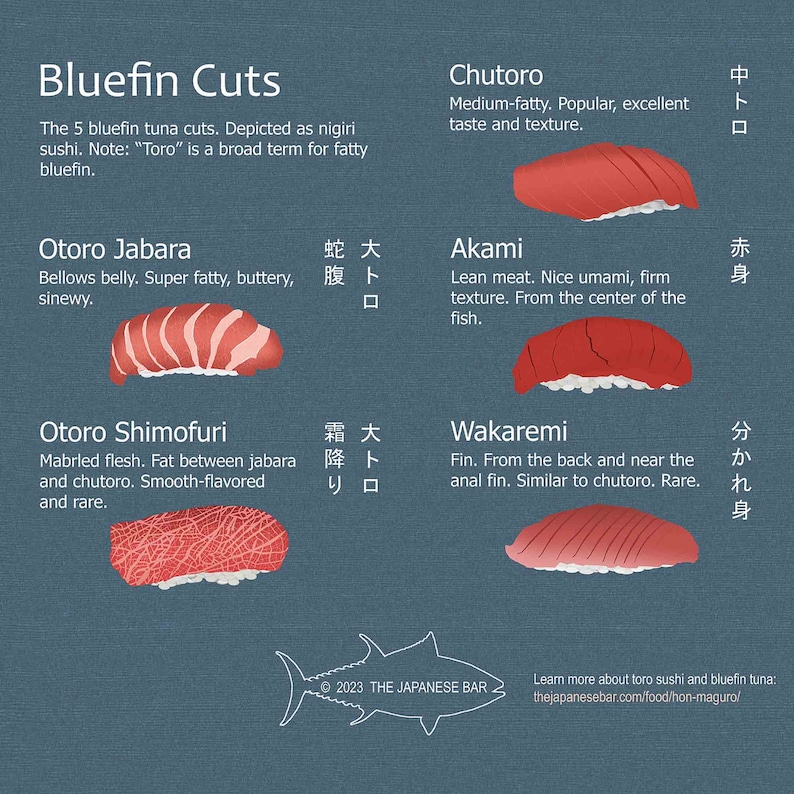 Toro Sushi Poster: 12 X 18 toro Anatomy Bluefin Tuna Cuts & Sushi Types ...