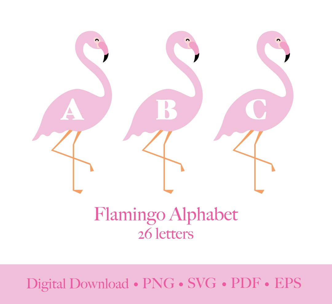 Flamingo Svg,flamingo SVG Cut File,flamingo Png,flamingo Svg for Cricut ...
