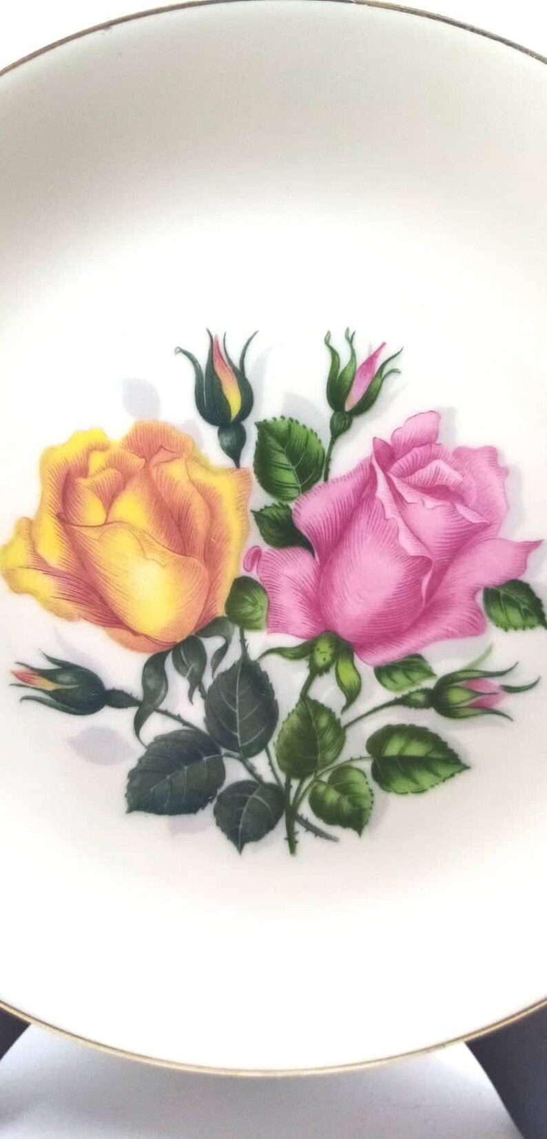 Rare Vintage Set of 6 German Fine Porcelain Plates Original German ...