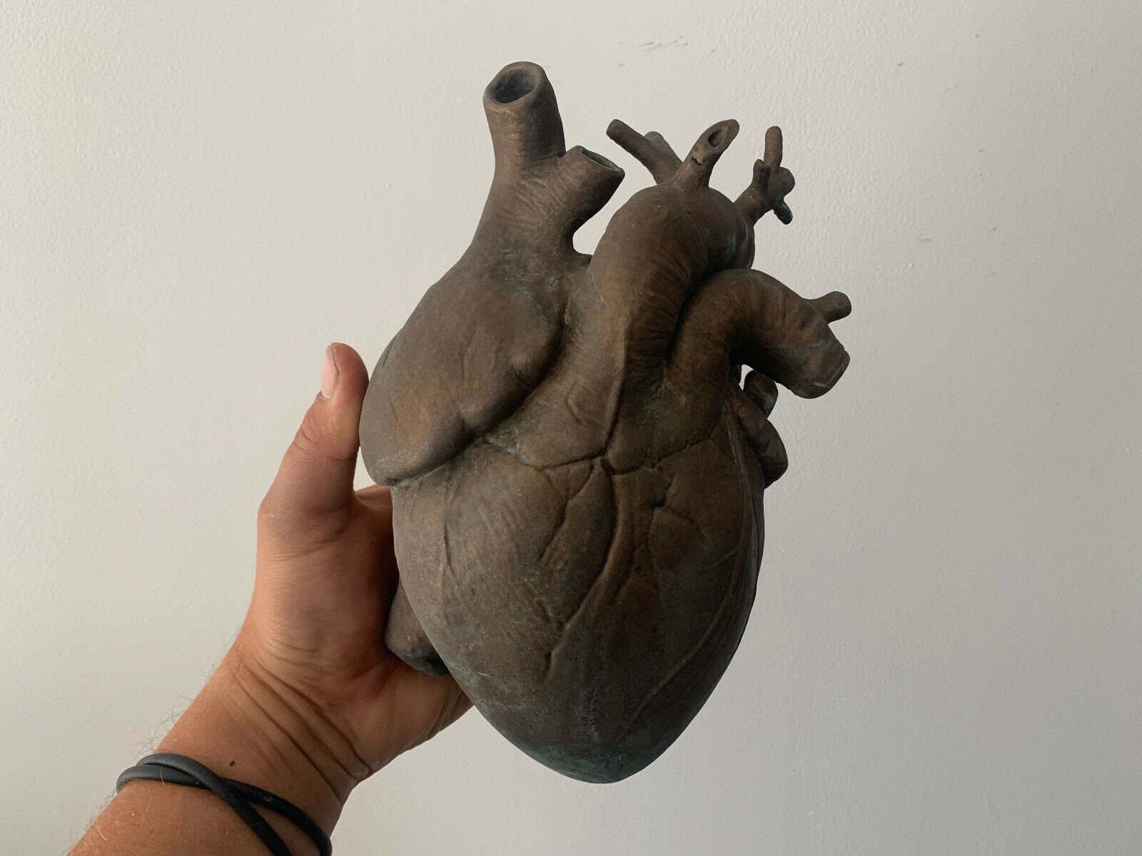 Oddities Cabinet of Curiosities Giant Anatomical Heart Bronze Effect - Etsy