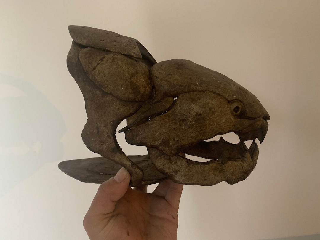 Fossil / Replica of Dunkleosteus Fish Head Museum Quality Fossil - Etsy