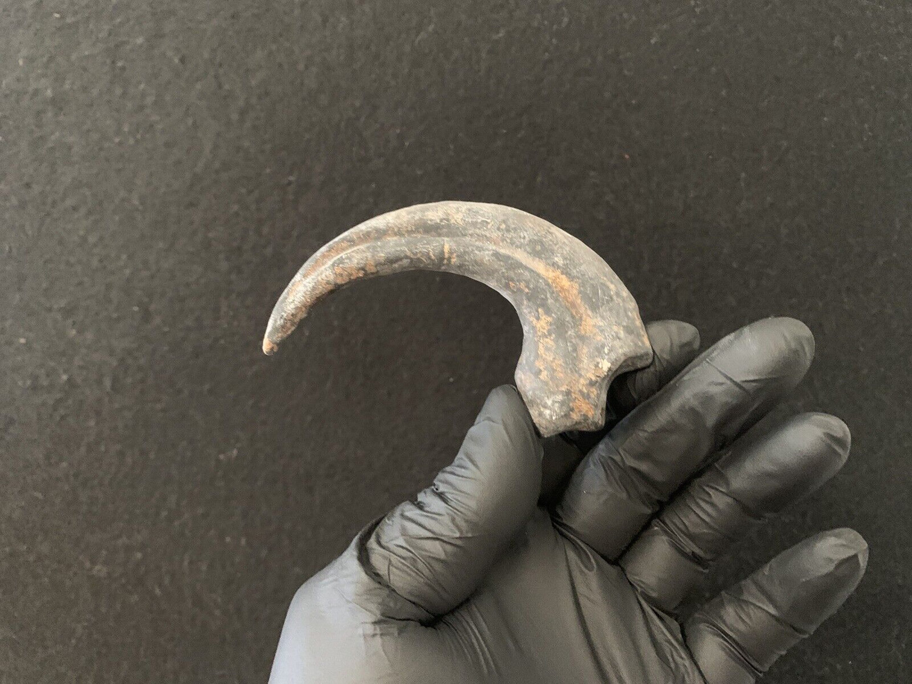 Velociraptor Claw Replica - Etsy