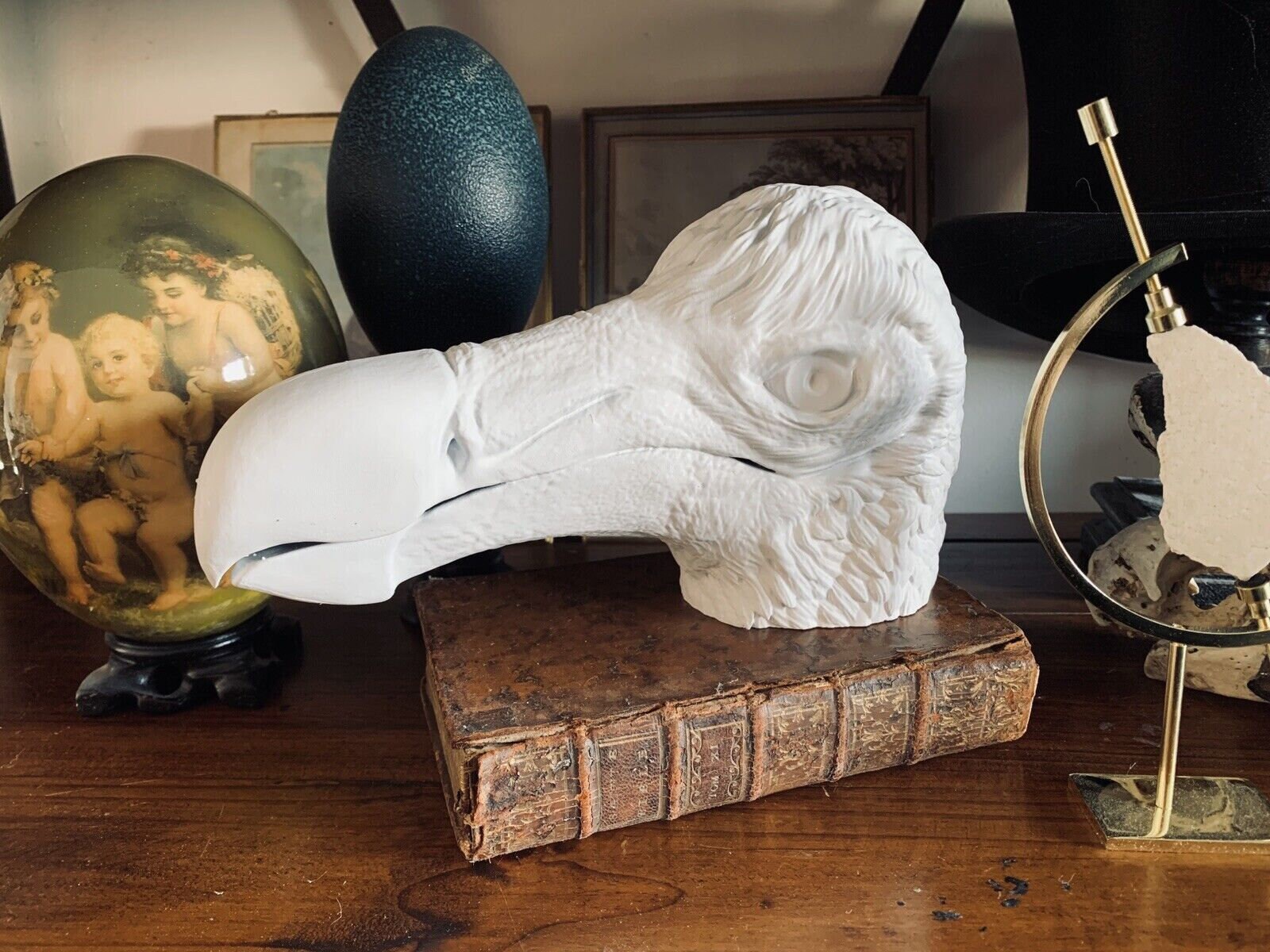 Dodo Head Skull Skull Raphus Cucullatus Museum Quality Oddities - Etsy