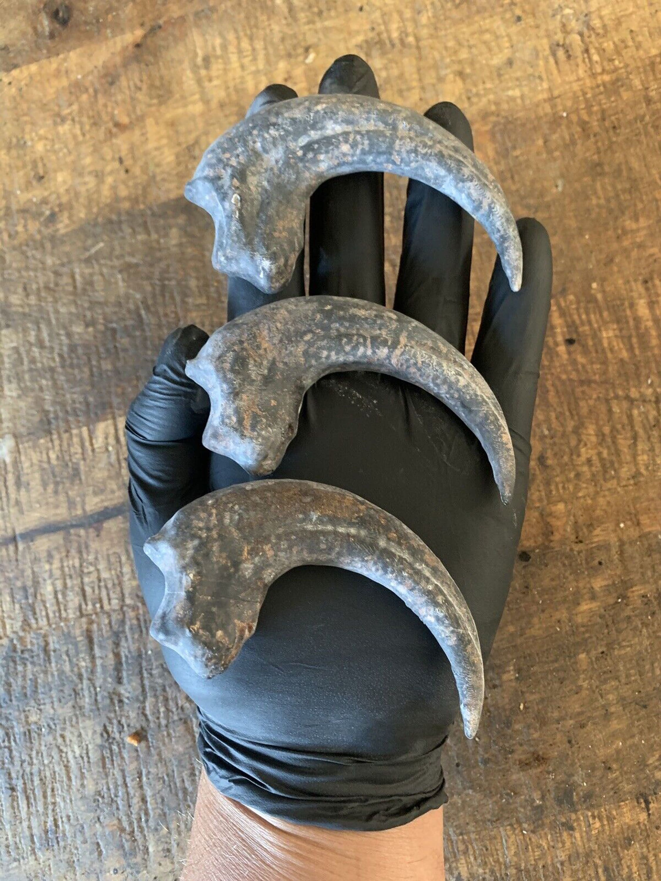 Velociraptor Claw Replica - Etsy